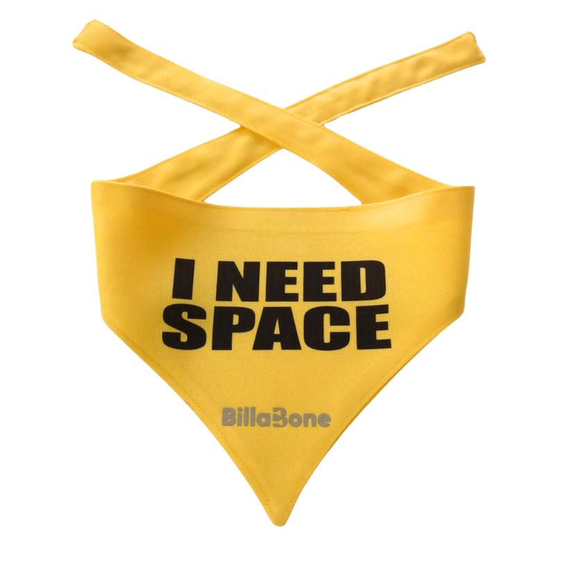Bandanas – Billabone