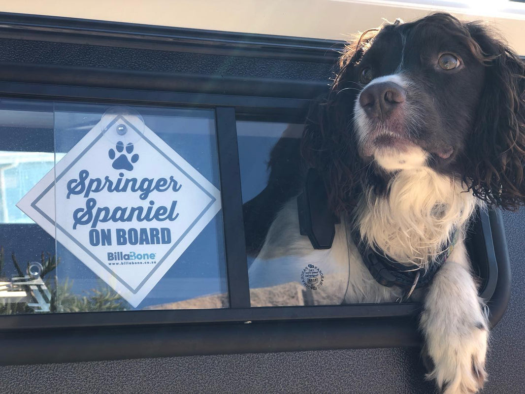 On Board Signs & Vinyl Stickers – Billabone