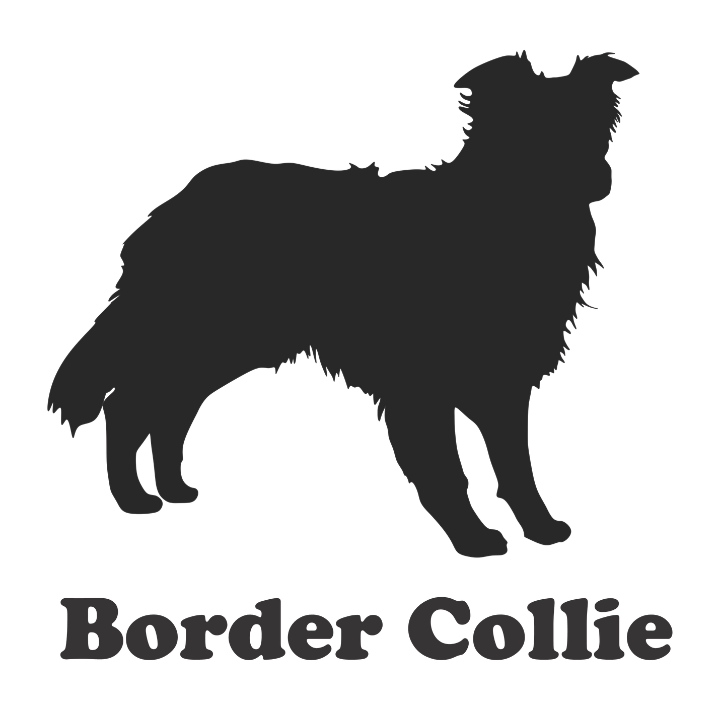 Border Collie Sticker – Billabone